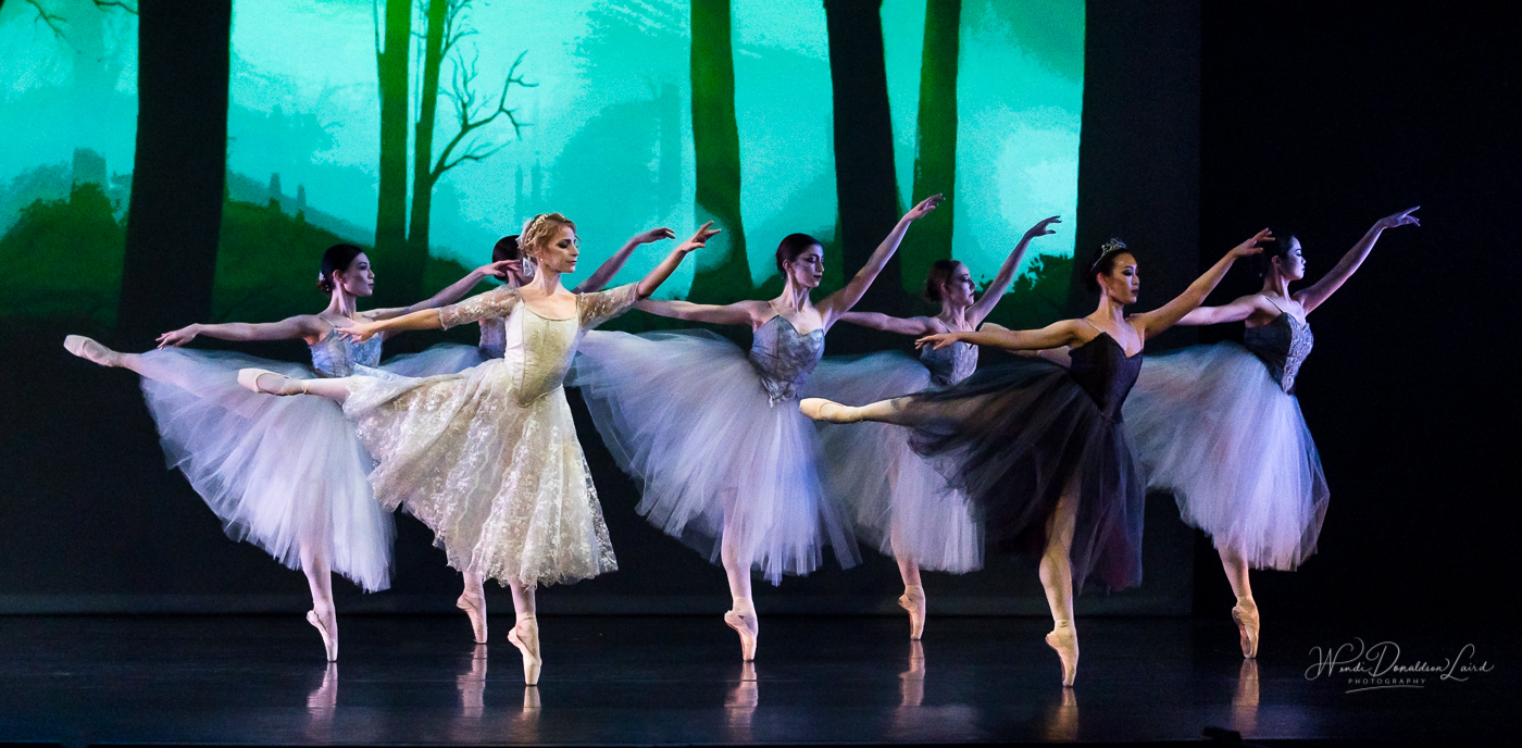 Frankenstein 2024 The Creation - Ballet Victoria